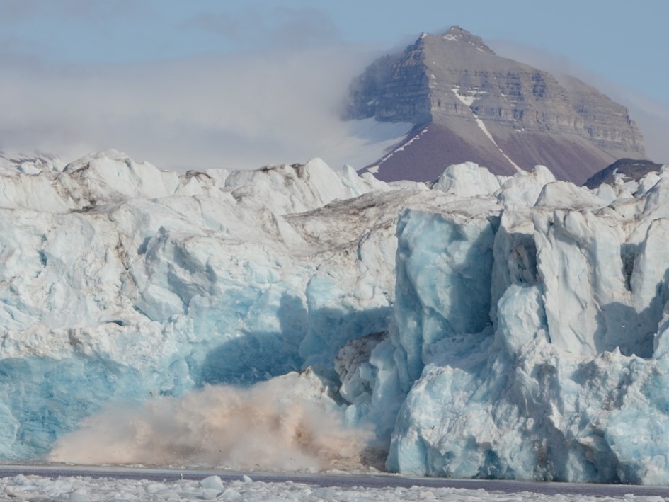 Cryosphere reduction and related shifts in Arctic biodiversity - FACE ...