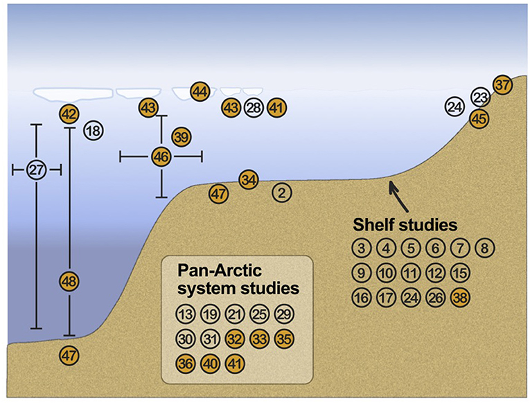 Editorial: Towards a Unifying Pan-Arctic Perspective of the ...
